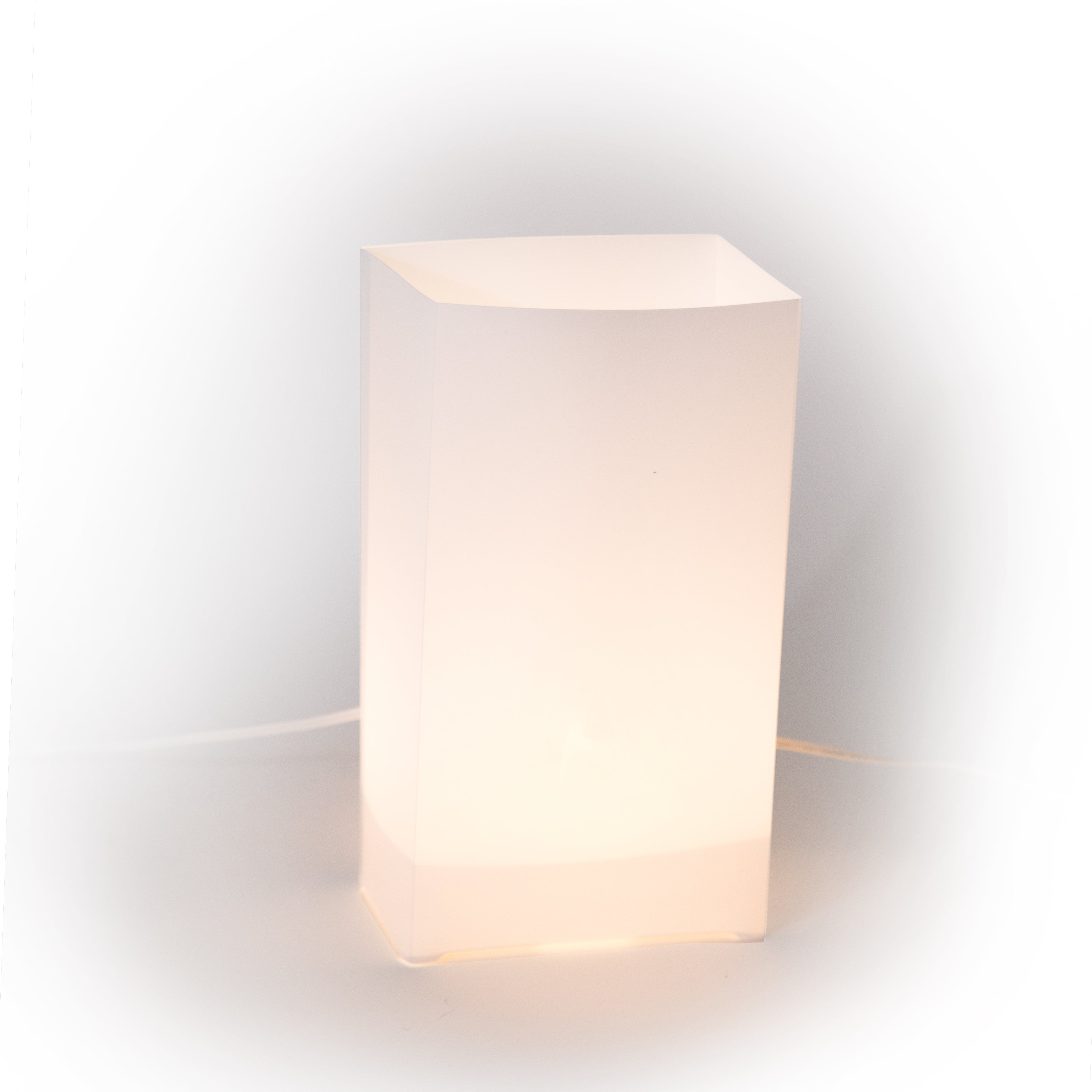 Electric Luminary Pathway Light Bags (set of 10) – elflogic.com
