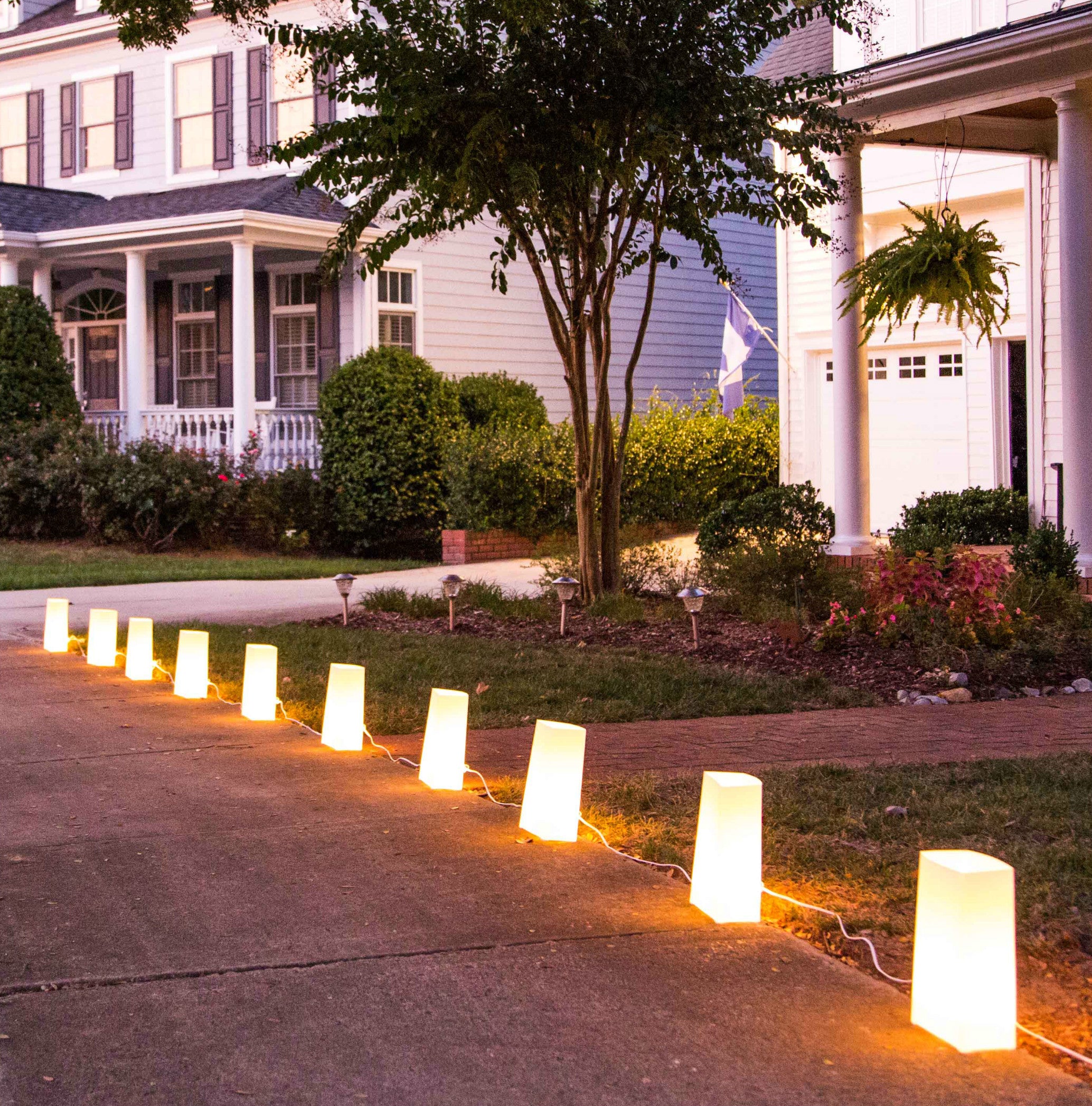 Electric Luminary Pathway Light Bags (set of 10) – elflogic.com